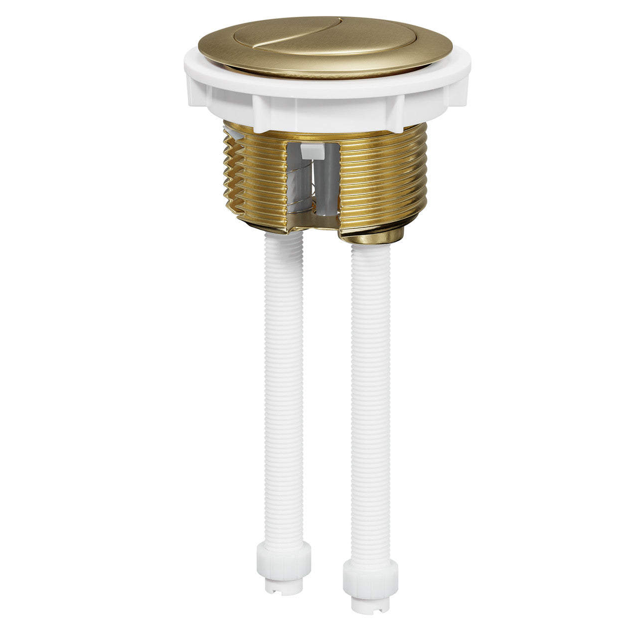 Cistern Push Flush Button - Brass / Gold – PlumbStore Direct Limited